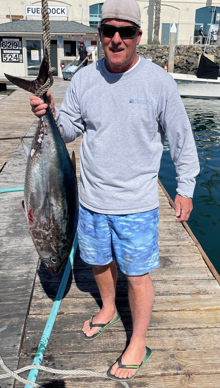 MBMC Bay Bass Tourney Recap / Tuna Update – Mission Bay Marlin Club